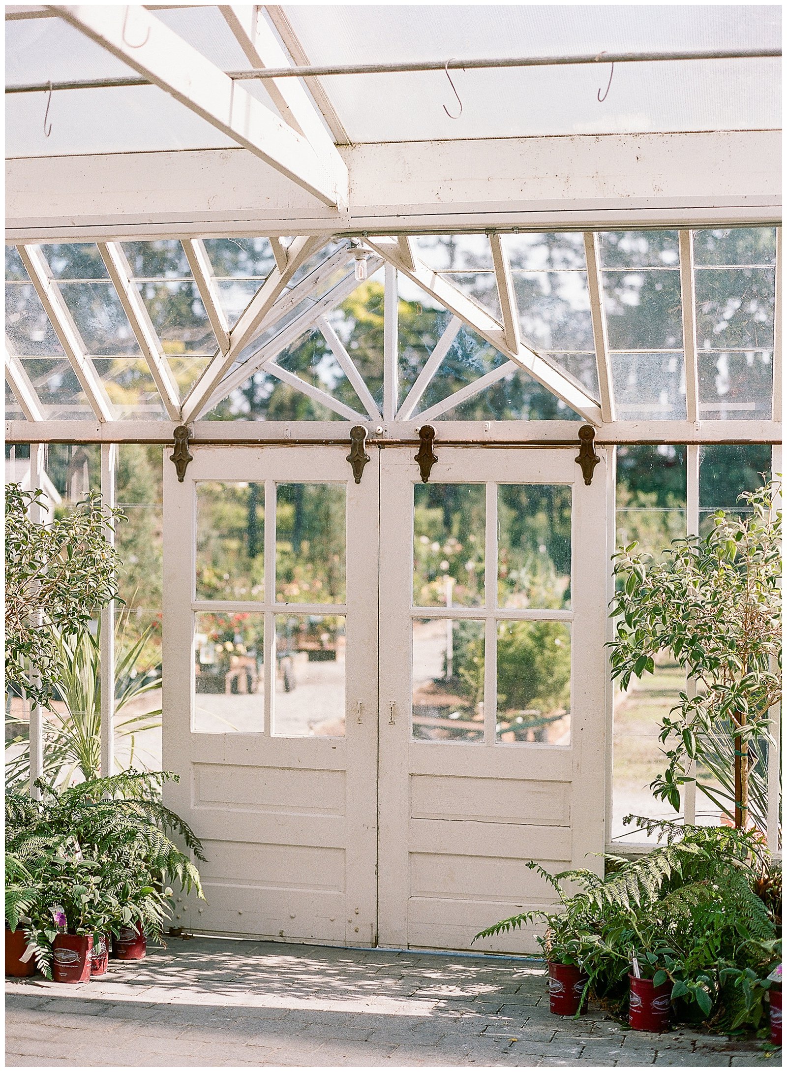 Modern and Colorful Greenhouse Wedding Inspiration in Seattle - The ...