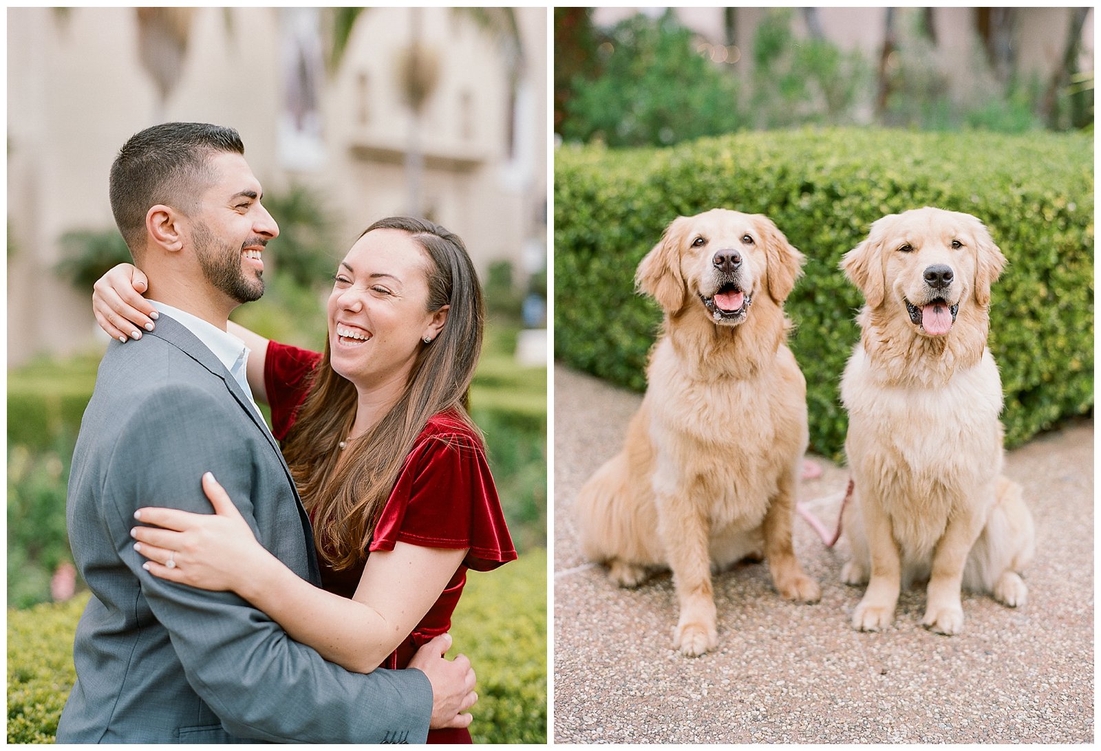 Amanda & Grant: Engagement Photos at Balboa Park with Two Golden ...
