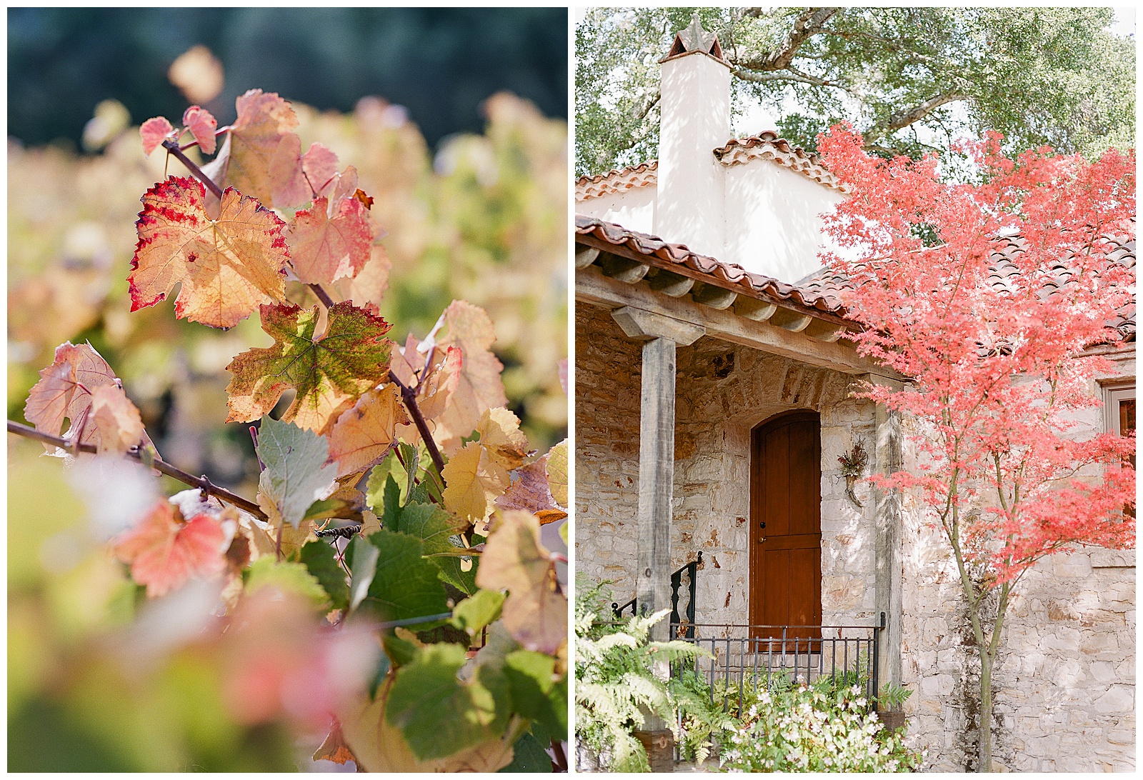 Ali & Andrew: A Holman Ranch Wedding - The Ganeys | Fine Art Film ...