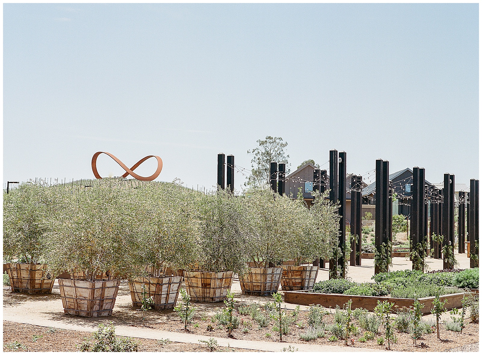 Elizabeth & Tucker: A Stanly Ranch Wedding at the Infinity Lawn - The ...
