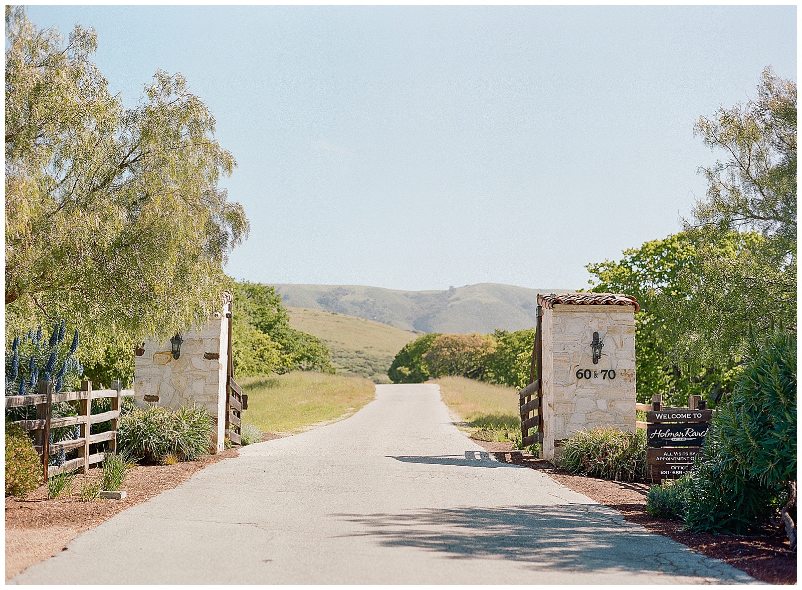 Sara & Joe: A Holman Ranch Wedding - The Ganeys | Fine Art Film Wedding ...