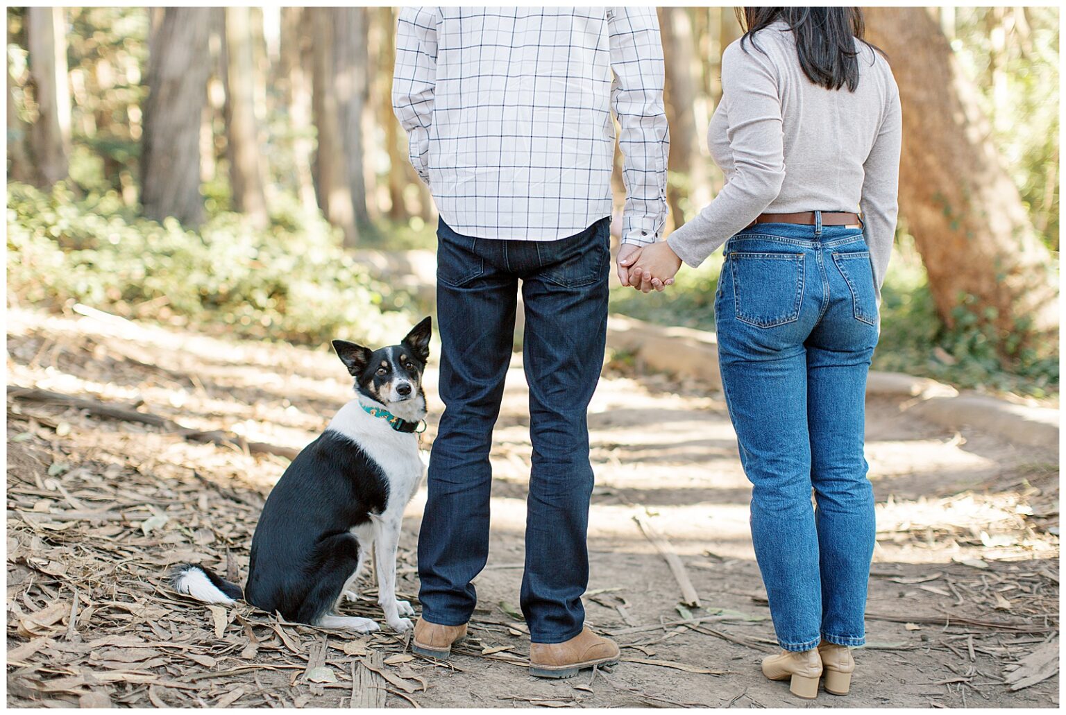 Thanh-Ha & Ryan: A Lover's Lane and Fort Funston Engagement Session ...